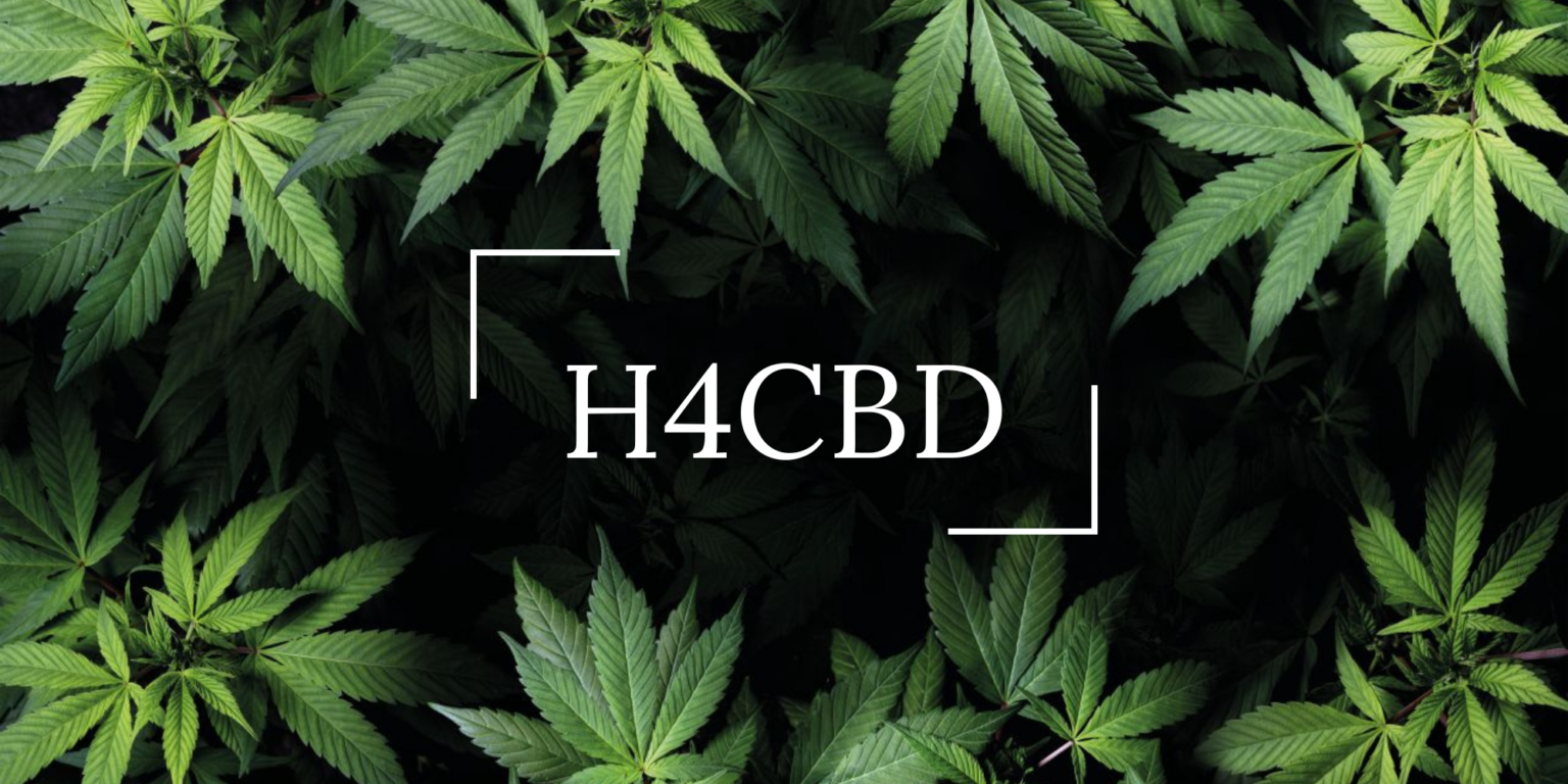 H4CBD: ¿Qué es? 420 Green Road